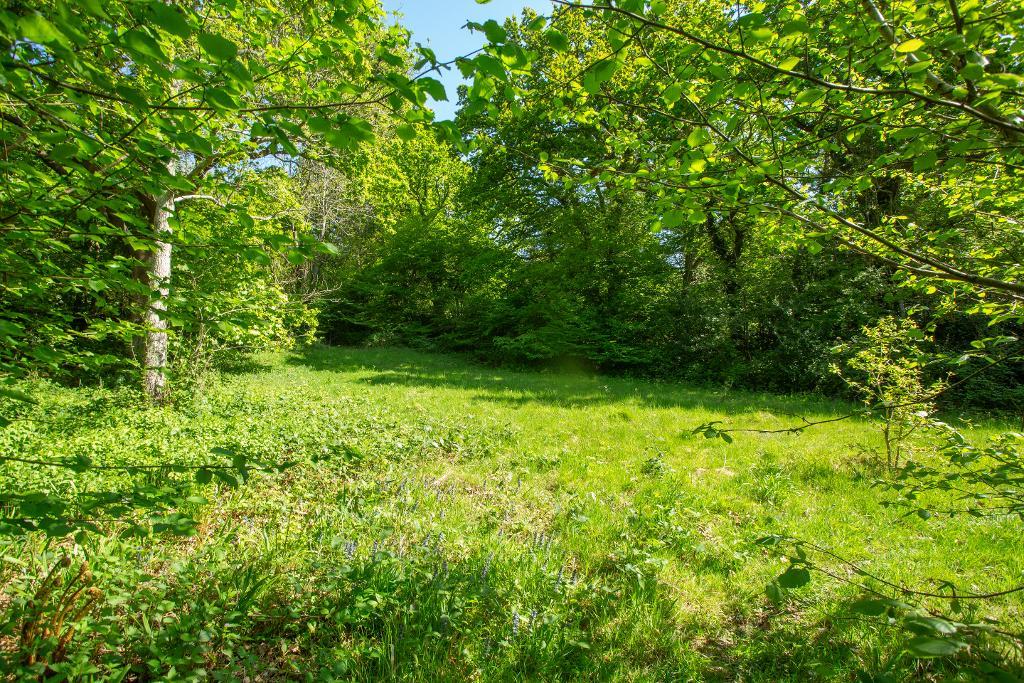 Maynards Green Road, Horam, East Sussex, TN21 0BP - Foresters Estate ...